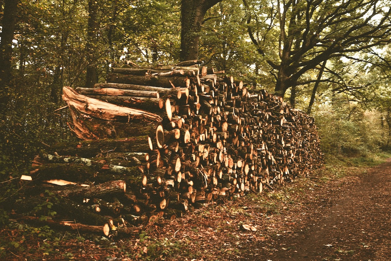Forestry & Tree Surgery – Peak Logs